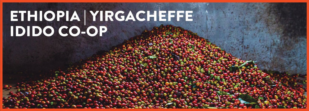 Roasting very special, single origin coffee in Columbus, OH – Ramble Coffee